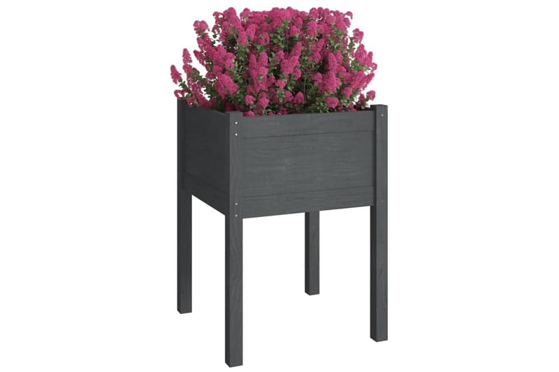 Be Basic Plantekasser 2 stk grå 50x50x70 cm heltre furu Grå - Interiør ...