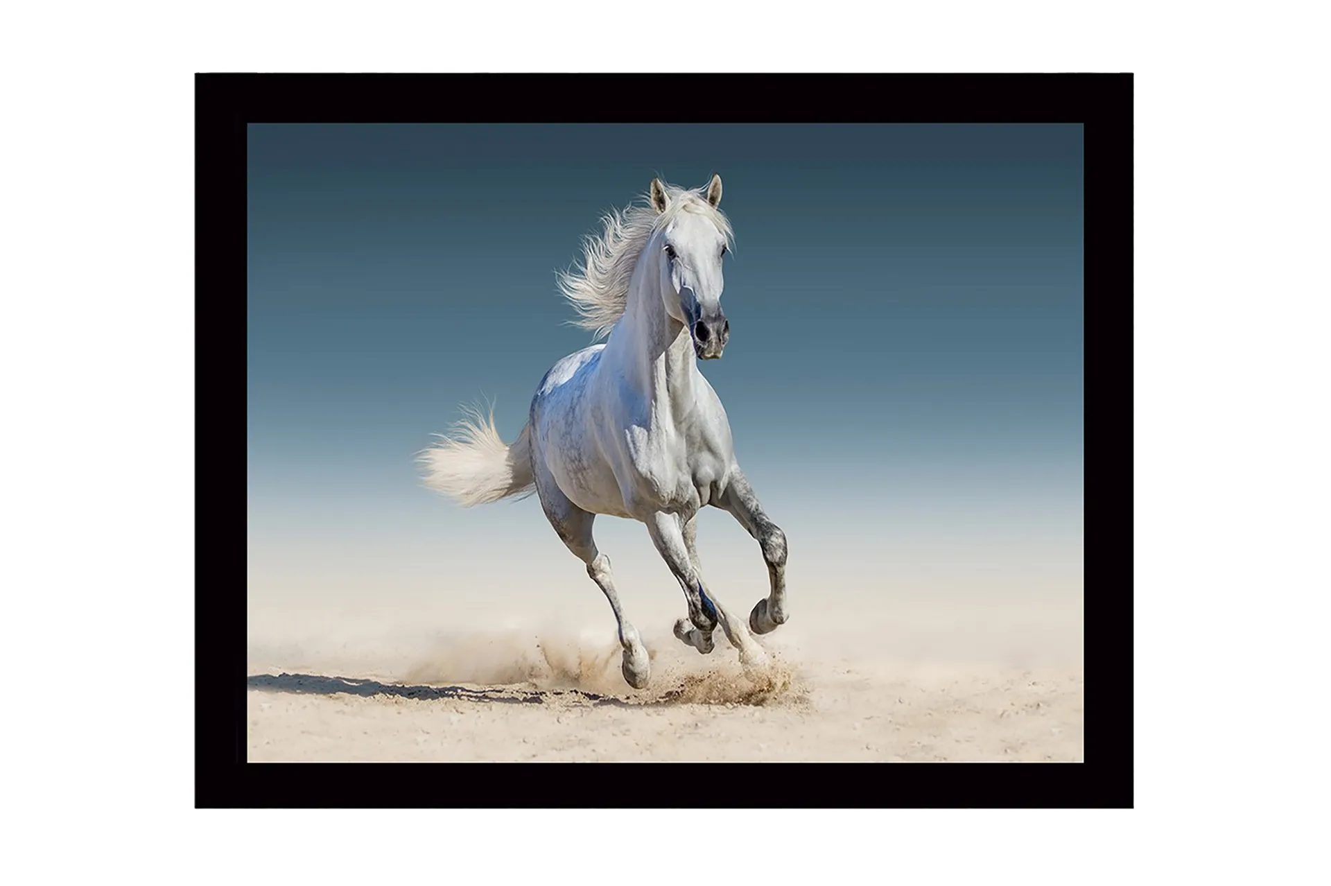 Innrammet lerretsbilde i tre - 41x56 cm - Hvit hest galopperer gjennom ...