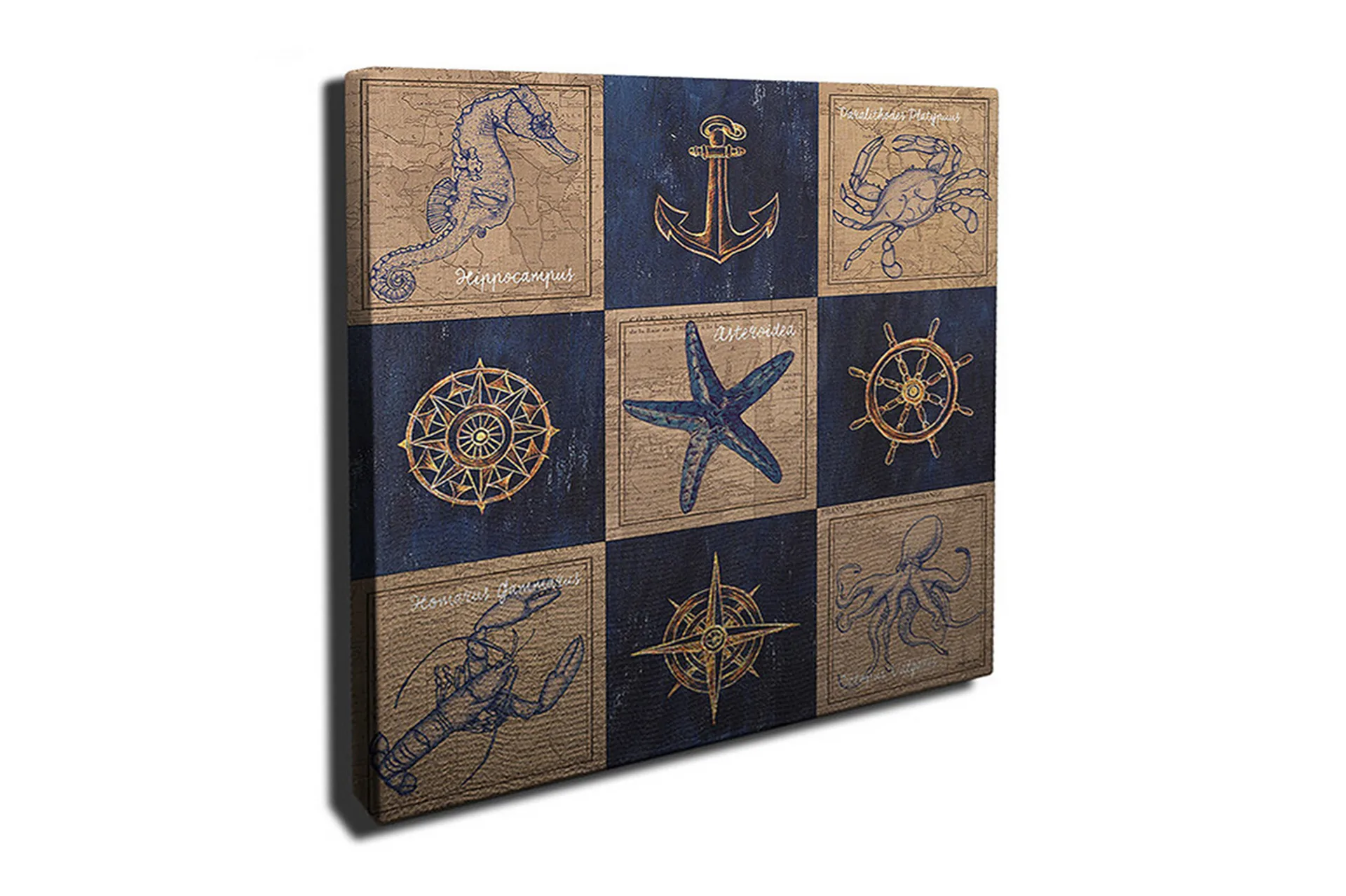 Lerretsbilde 45x45 cm - Maritim komposisjon med sjødyr og ...
